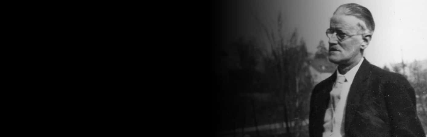 Finnegan, Begin Again: The Strange Appeal Of The World’s Most ...