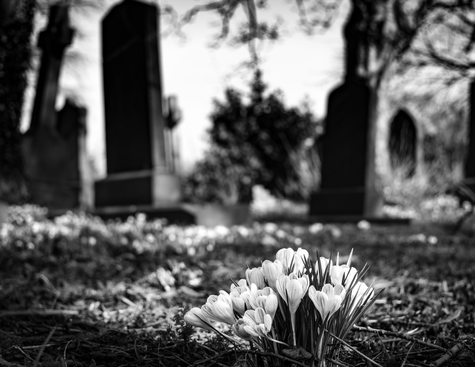 10 Of The World's Most Haunted Artifacts