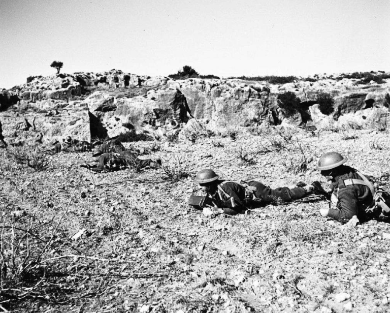 Man Vs Bird: The Great Emu War Of 1932