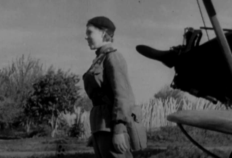 The Incredible Story Of The “Night Witches”, The Forgotten Flying Aces ...