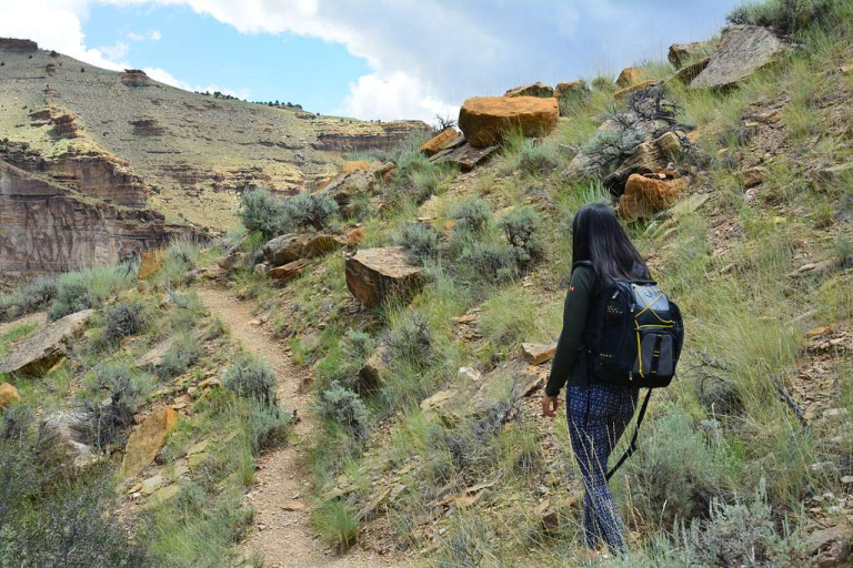 These Primitive Rock Carvings Suggest Humans Did Coexist With Dinosaurs