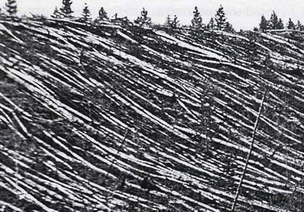 The Tunguska Event