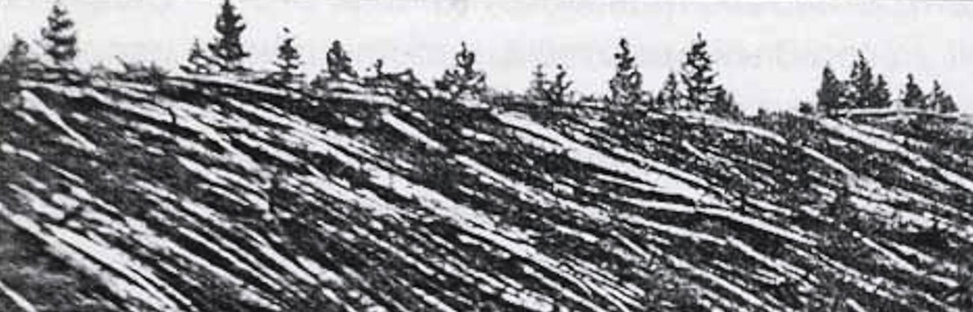 The Tunguska Event - HistoryExpose