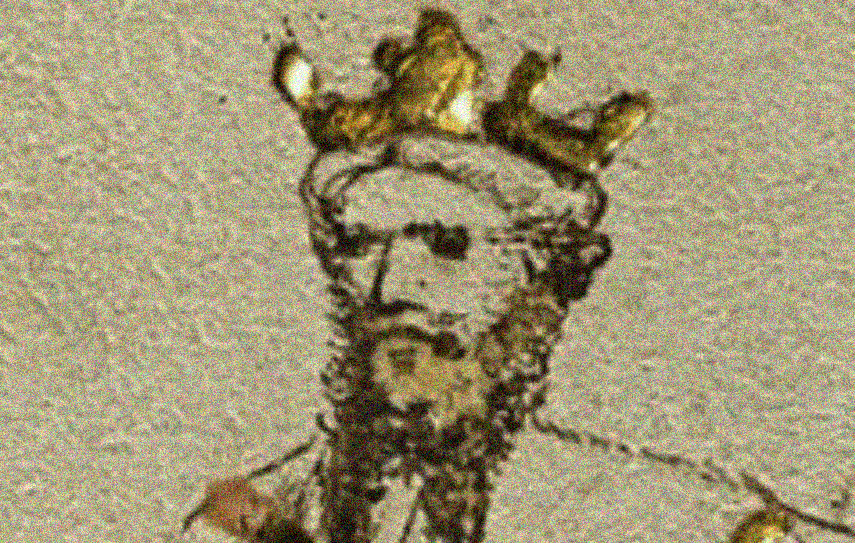 The Greatest Swordsmen In History