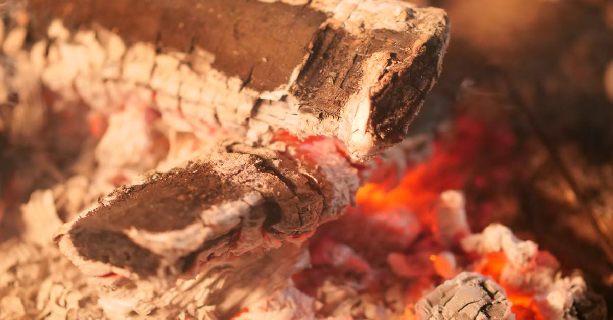 Spark Of Genius: Early Humans And The Invention Of Fire